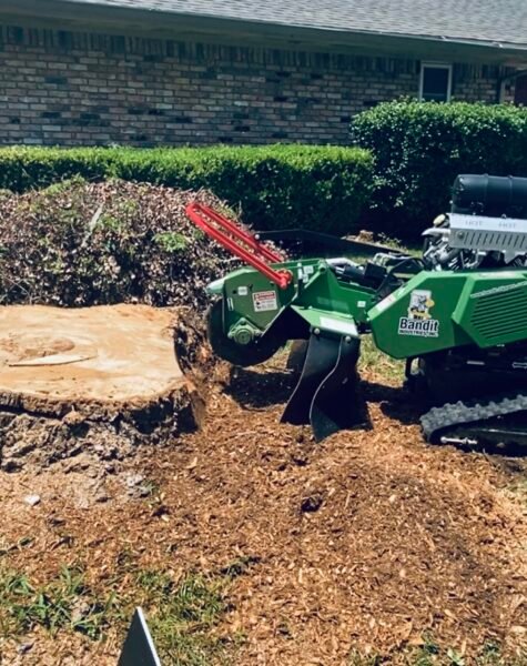 Home - Veterans Tree Service