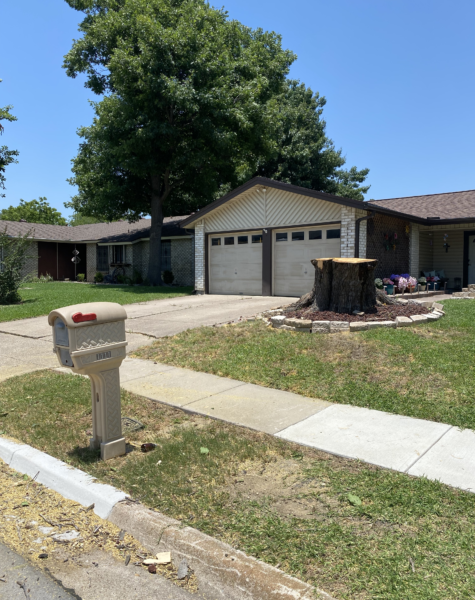 Home - Veterans Tree Service